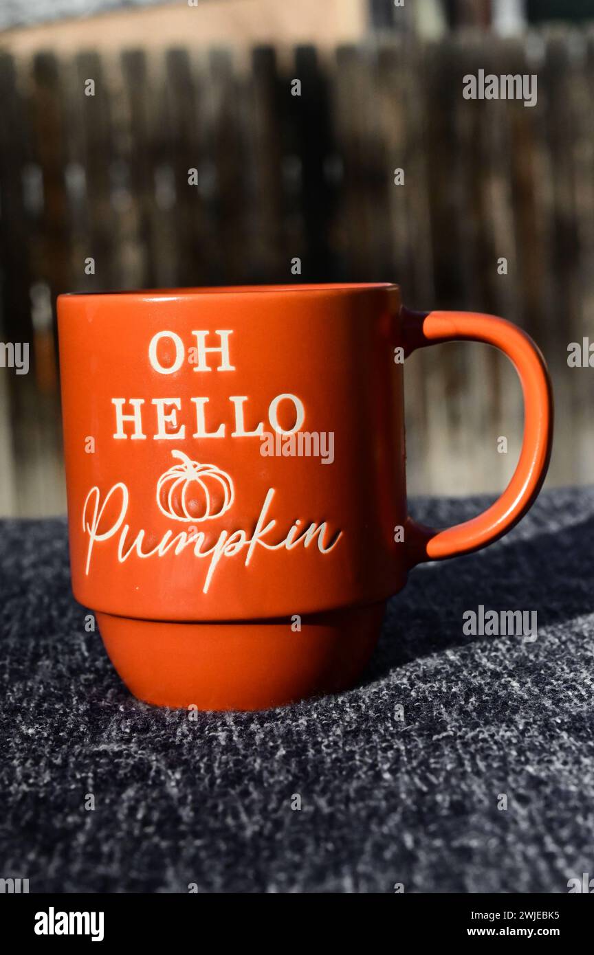 Oh Hello Pumpkin Mug Stock Photo - Alamy