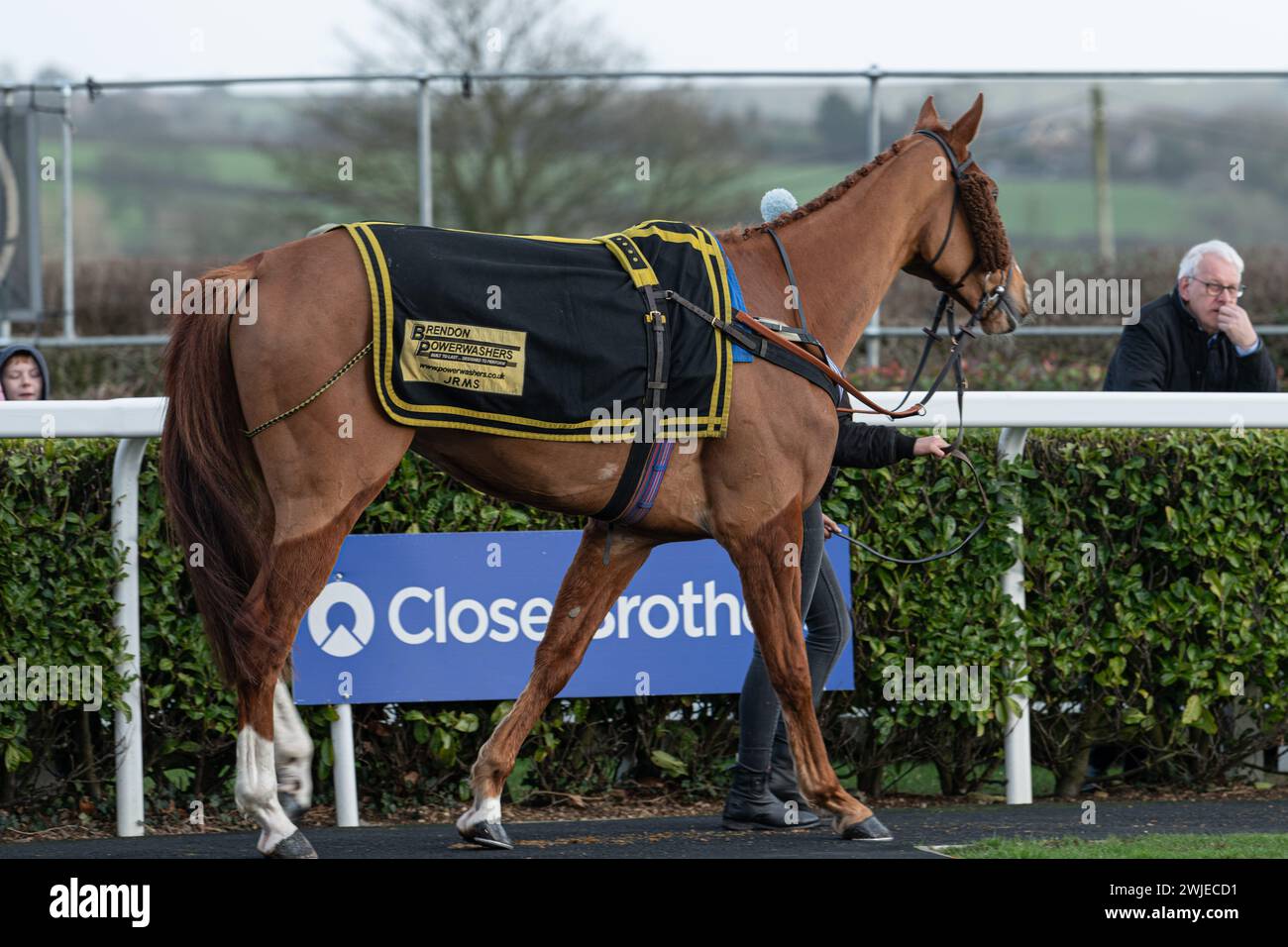 Sizable sam racing over hurdles hi-res stock photography and images - Alamy