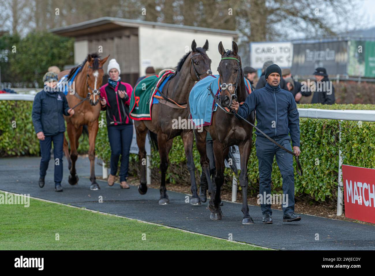 Grooms lead up the horses hi-res stock photography and images - Alamy