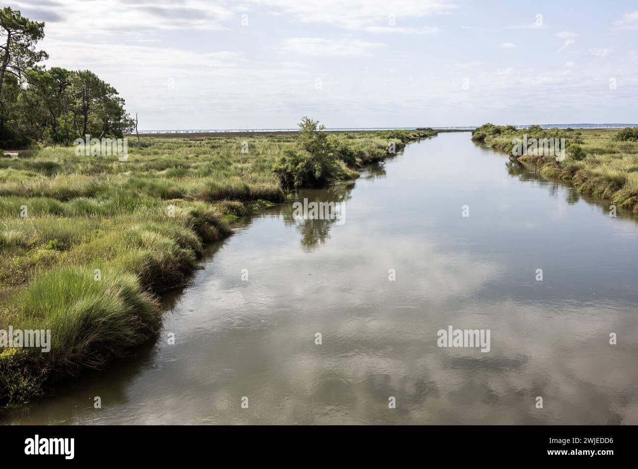 Ares (south-western France): Salt Marshes National Nature Reserve of ...