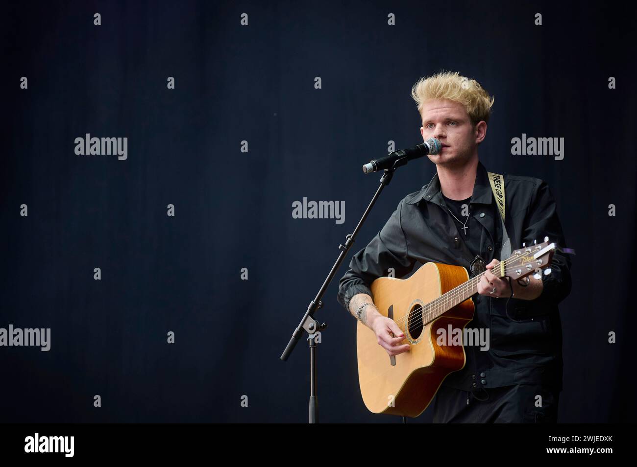 Max Novik at the 2000s tribute concert organized by the city of Henin ...