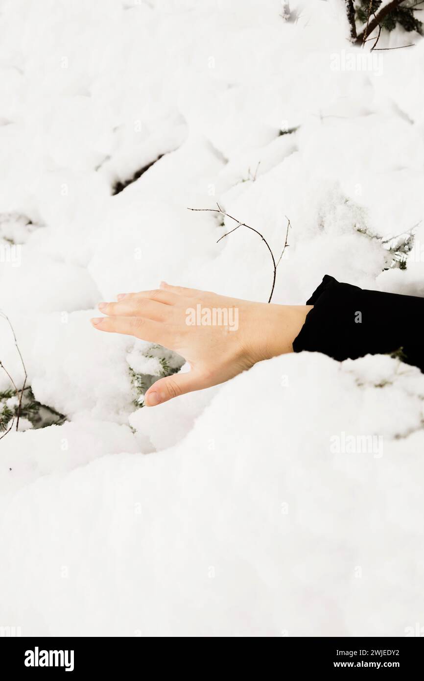 an arm sticking out from under the snow, an avalanche, a snowfall, a ...