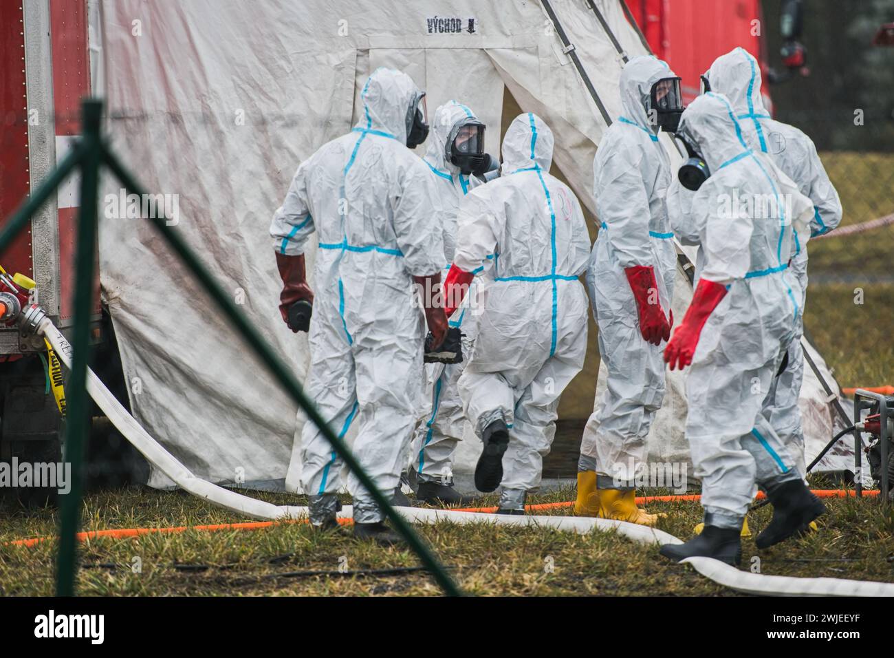 The culling of 11,500 laying hens infected with bird flu (avian ...