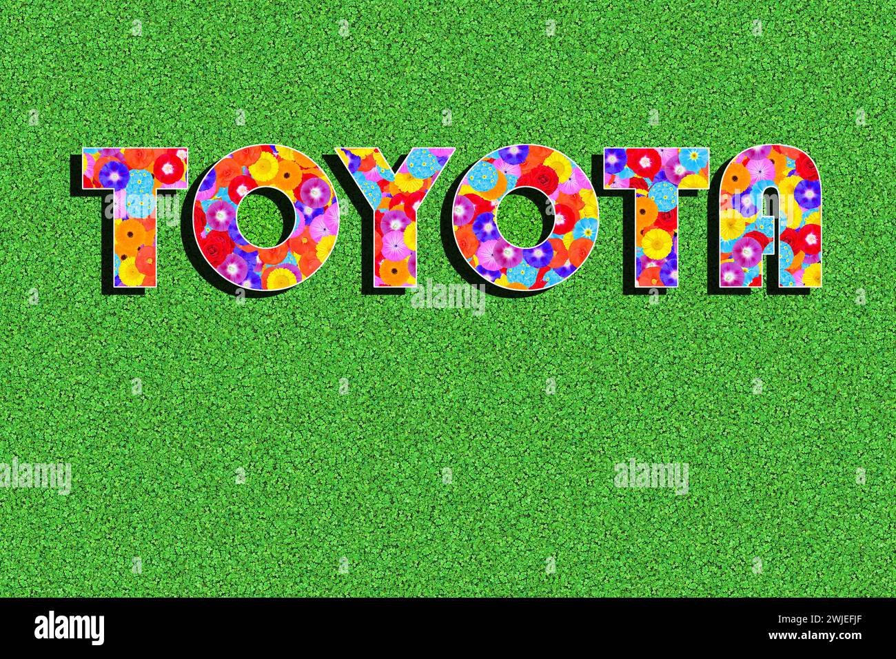 the word TOYOTA written with colorful flowers, illustration, graphic ...