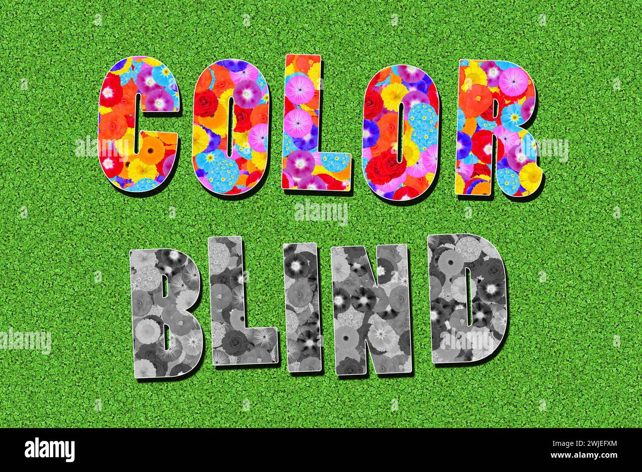 Word blindness hi-res stock photography and images - Alamy