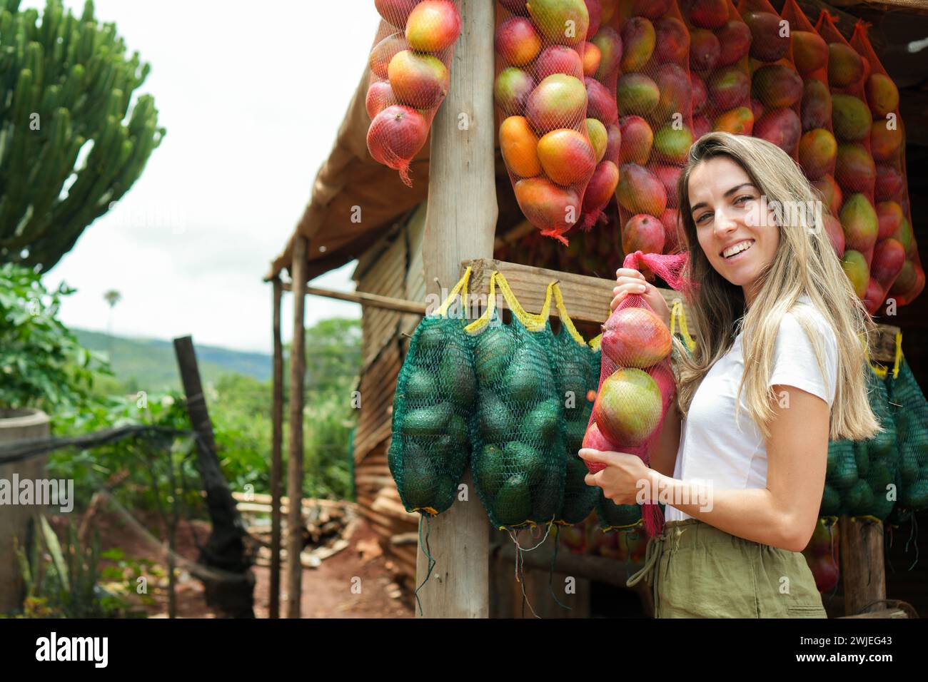 A happy woman is seen purchasing ripe mangoes from a colorful fruit ...