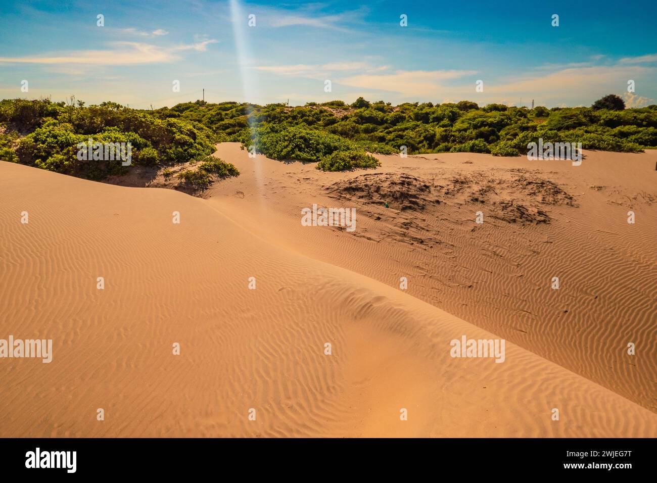 Scenic view of Mambrui Sand dunes in Mambrui Beach in Malindi, Kenya ...