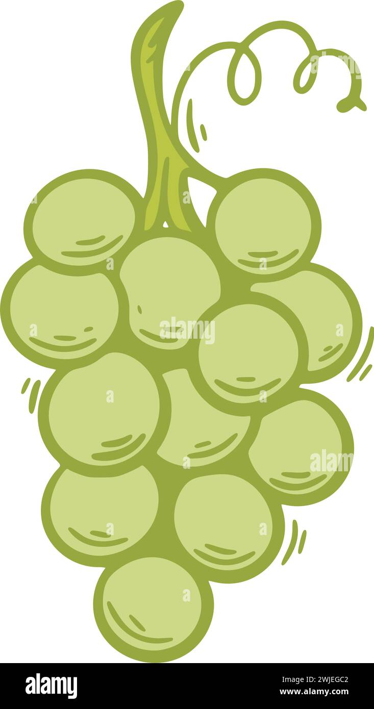 Sprig of ripe white grapes clip art Stock Vector Image & Art - Alamy