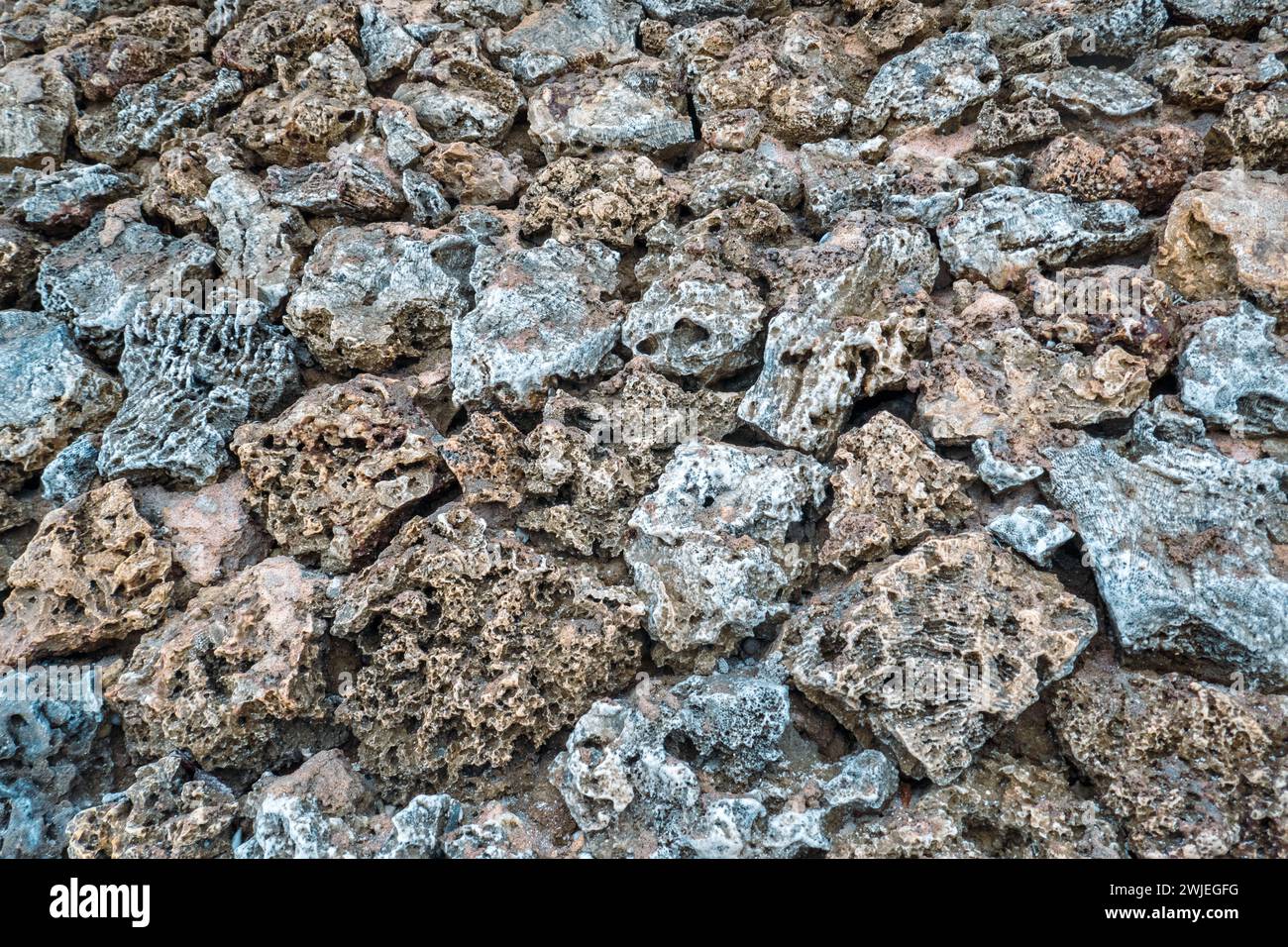 Unique structure of shore hi-res stock photography and images - Alamy