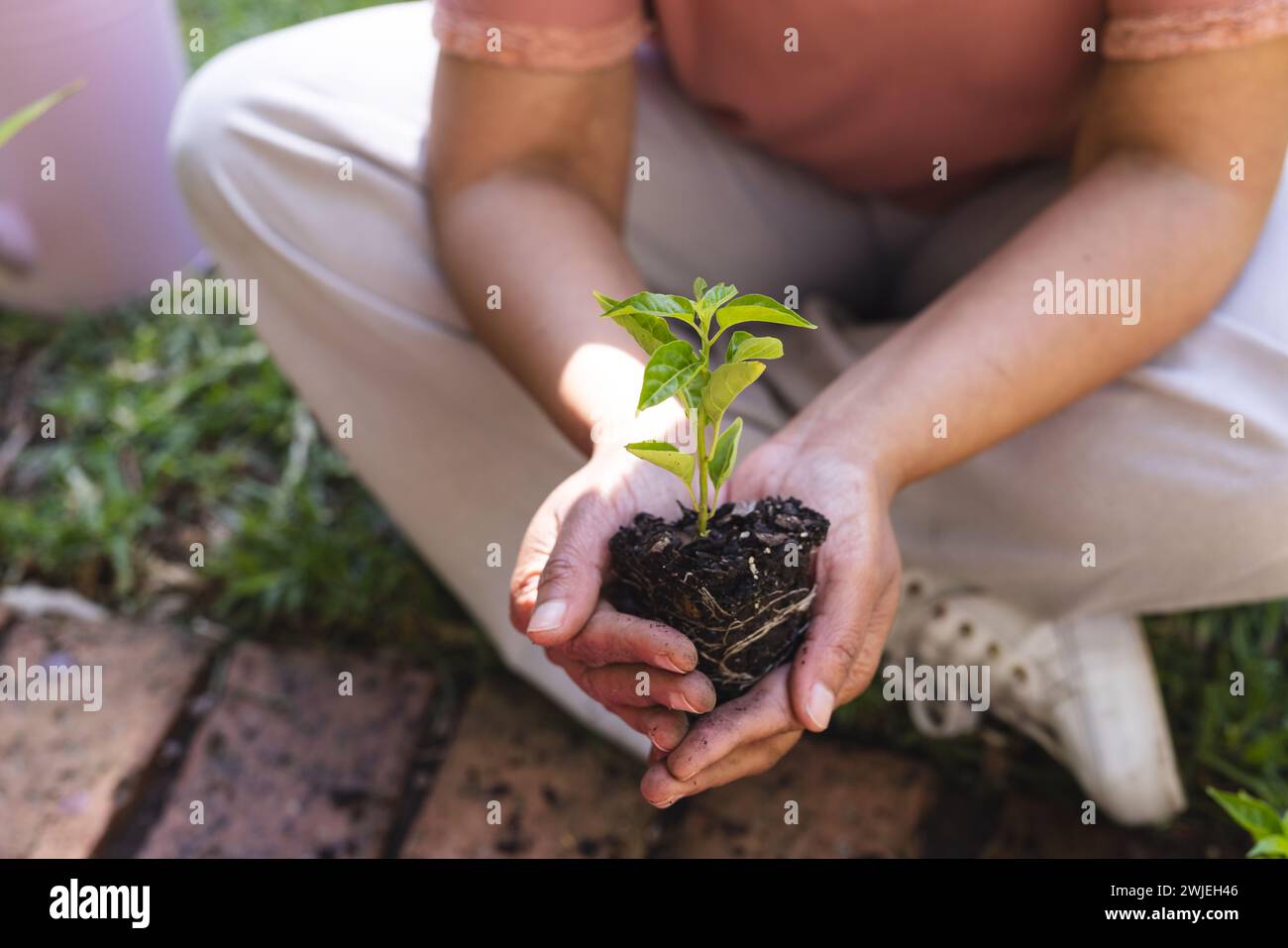 Hands nurturing hi-res stock photography and images - Alamy