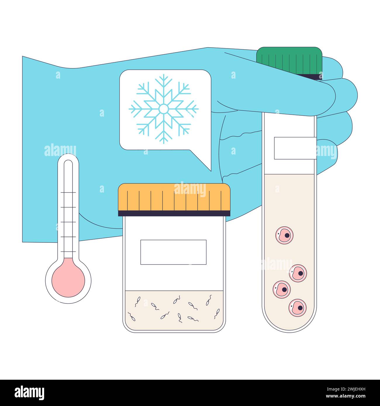 Gender transition. Fertility preservation. Medical tools for oocyte and ...