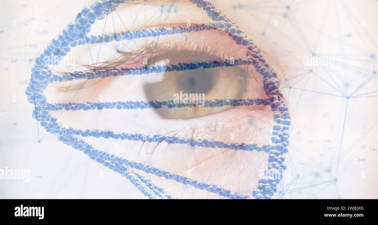 Image of dna strand and network of connections over eye Stock Photo - Alamy