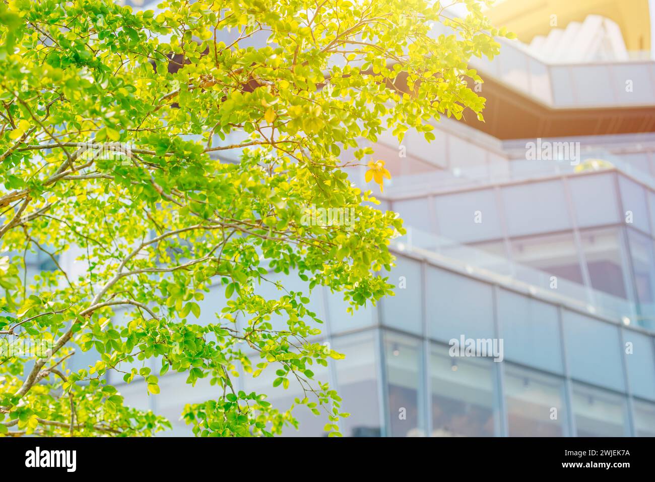 Eco green office building plant tree garden in city metro park outdoor ...