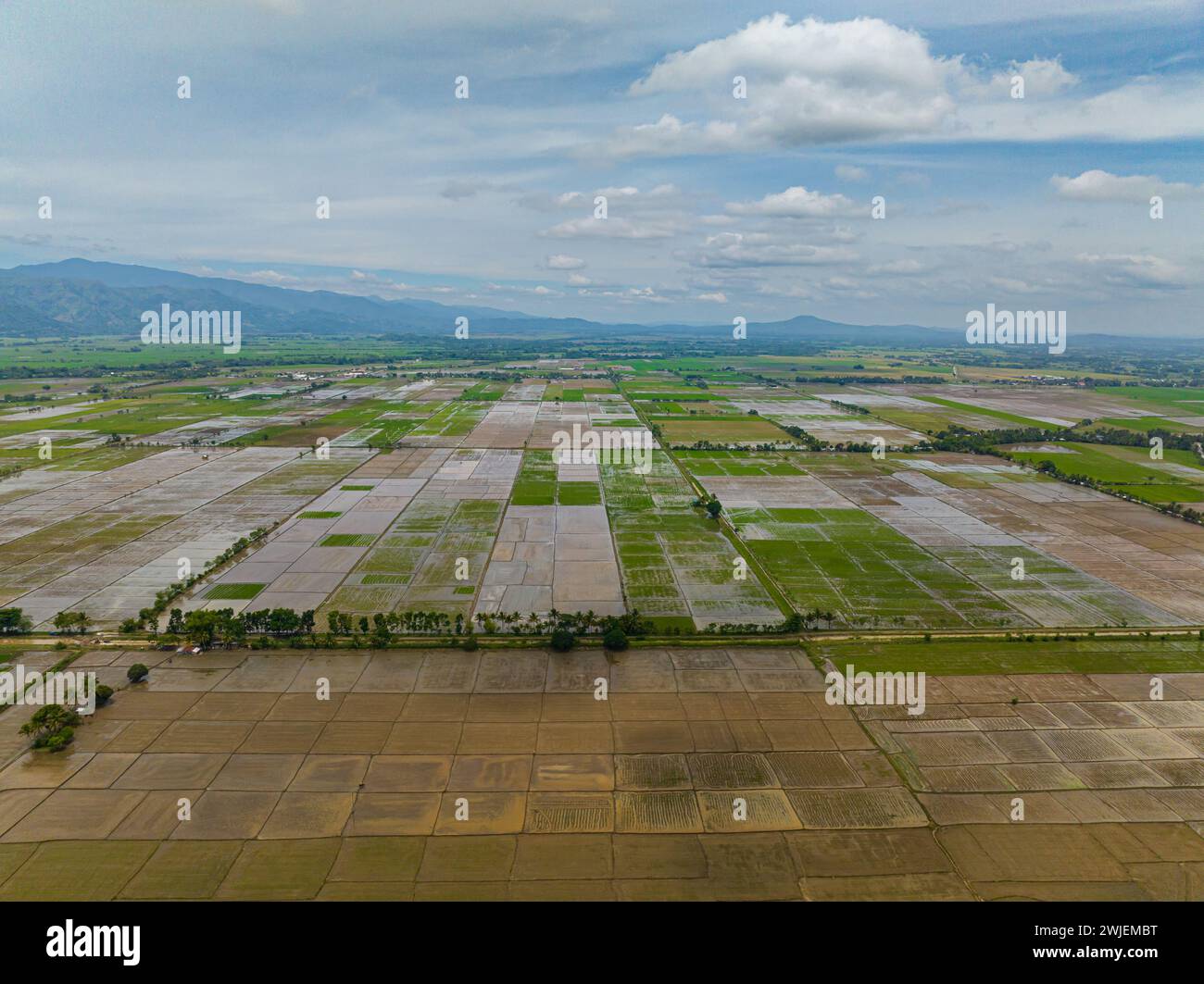 Tropical farmland and agricultural fields in the Philippines. Mindanao ...