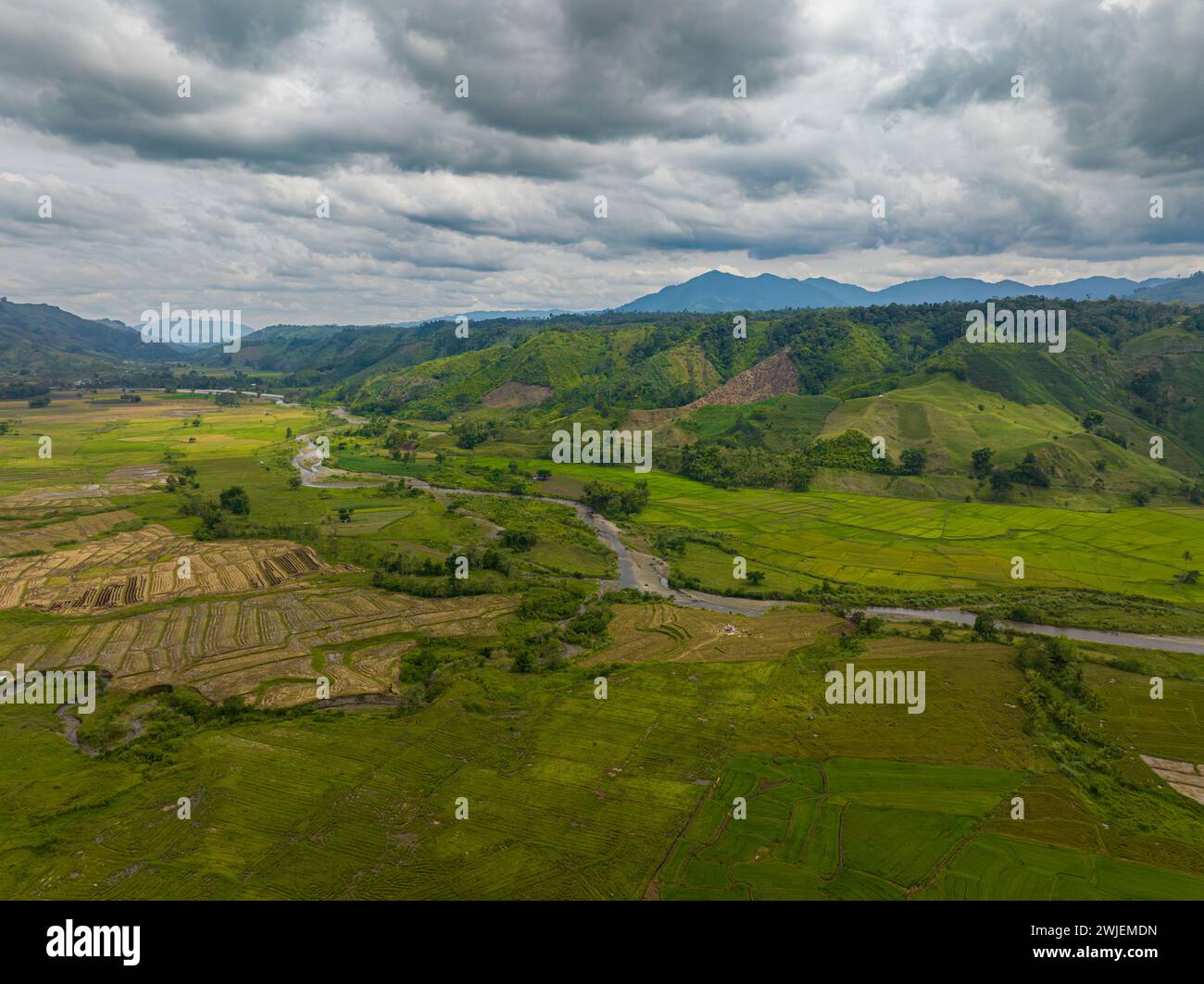Paddy farm fields and wetlands. Blue sky and clouds. Mindanao ...