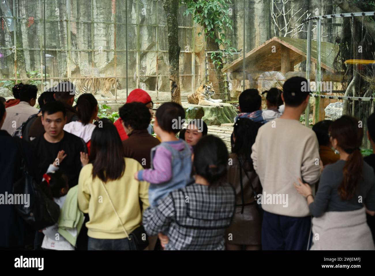 Nanning, China. 15th Feb, 2024. NANNING, CHINA - FEBRUARY 14, 2024 ...