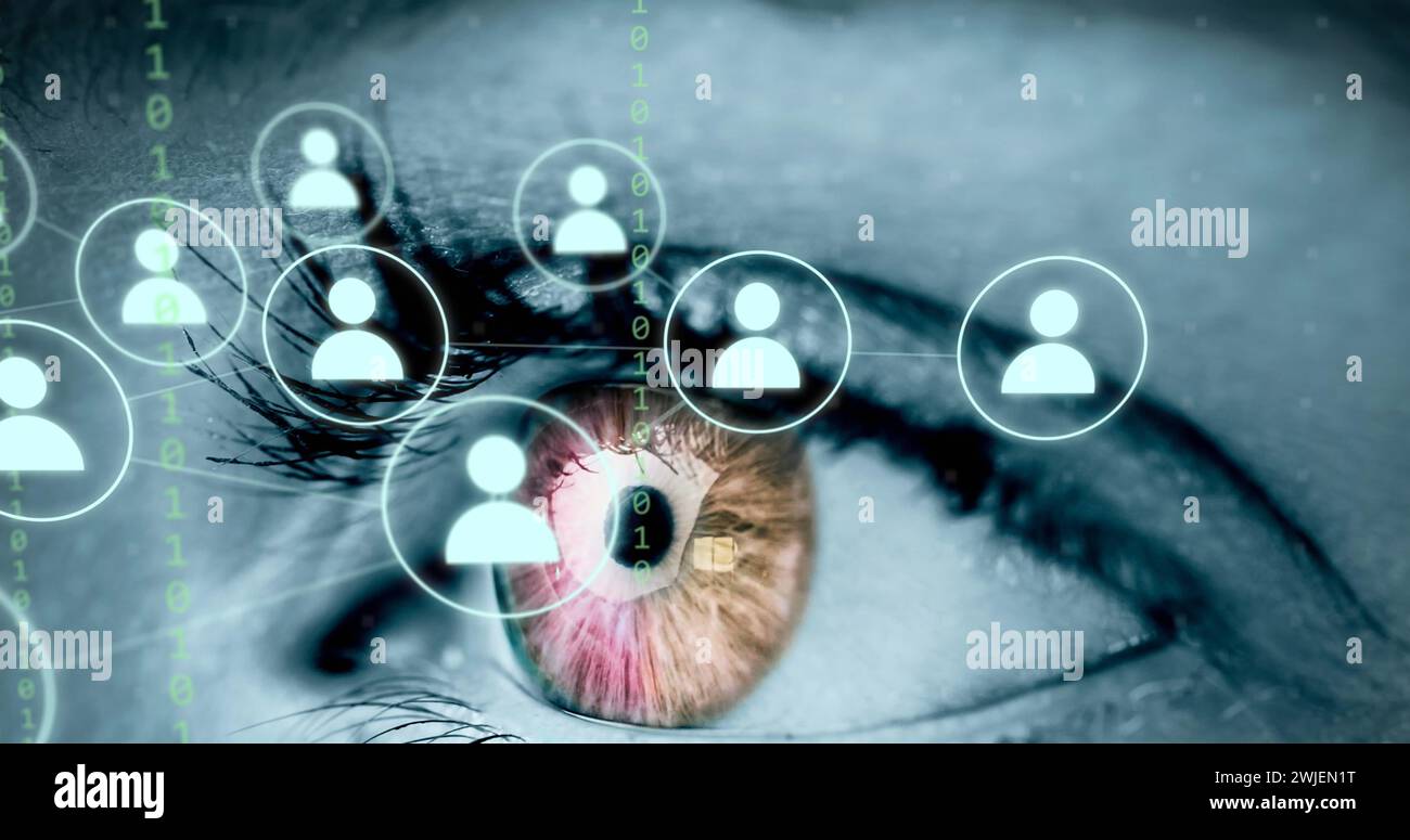 Image of human eye, connections and data processing Stock Photo - Alamy