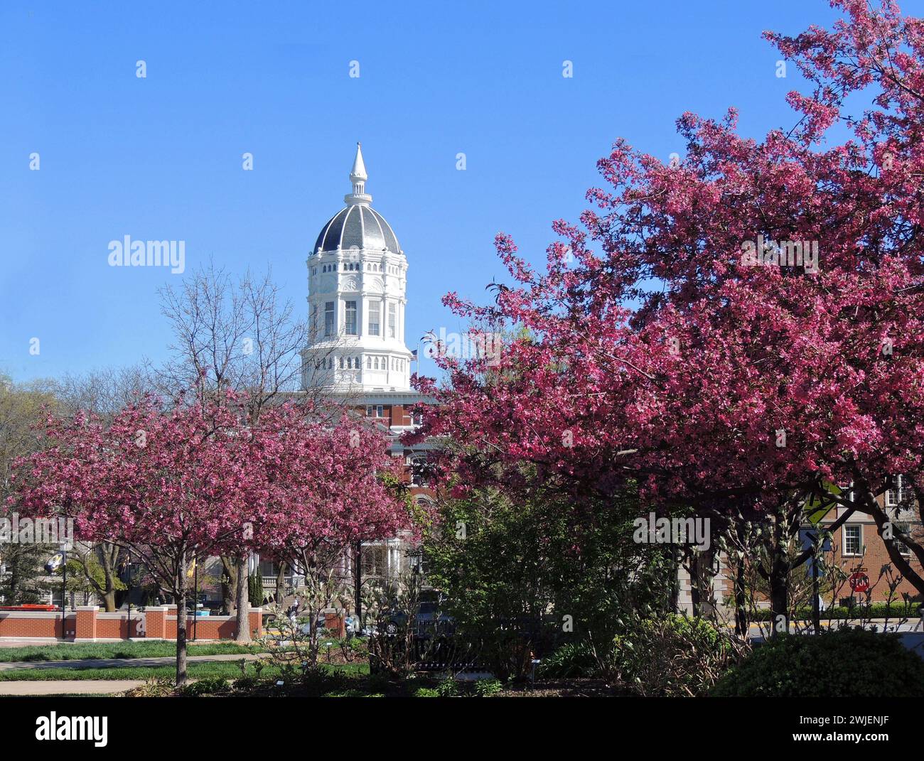 University of missouri columbia hi-res stock photography and images - Alamy