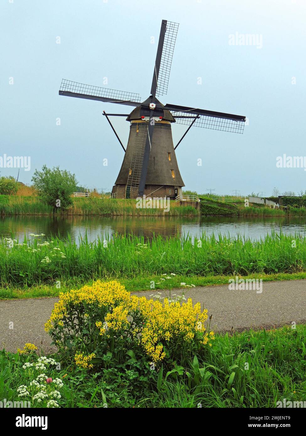 picturesque 18th century dutch windmill,wildflowers, and canal at ...