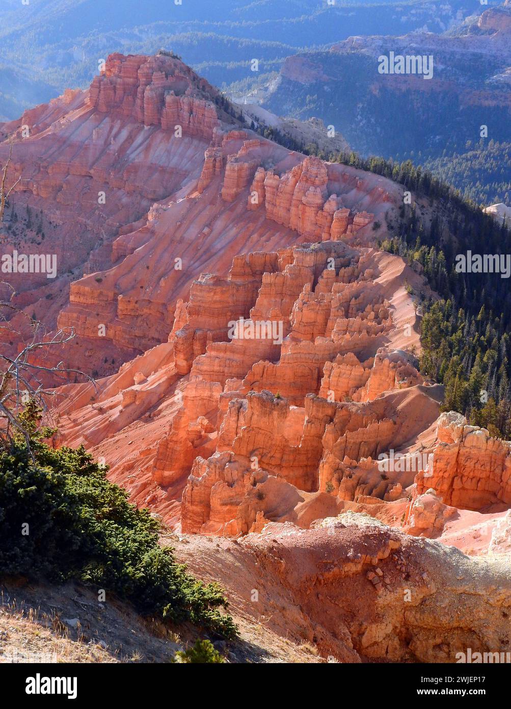 the spectacularly-colored and eroded canyons of cedar breaks national ...