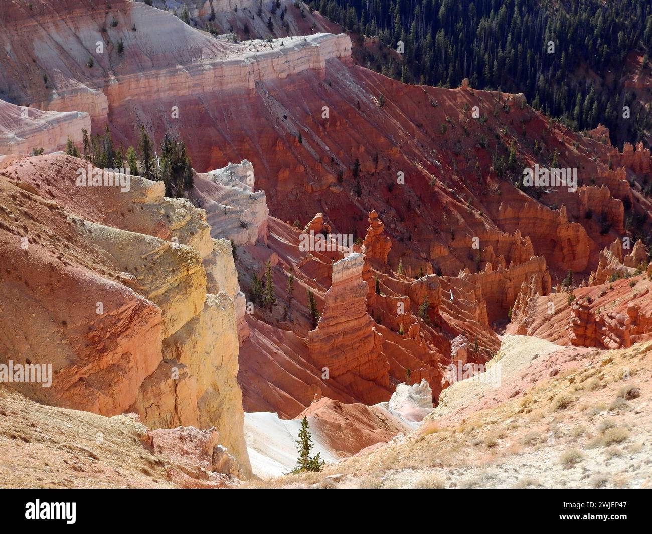 the spectacularly-colored and eroded canyons of cedar breaks national ...