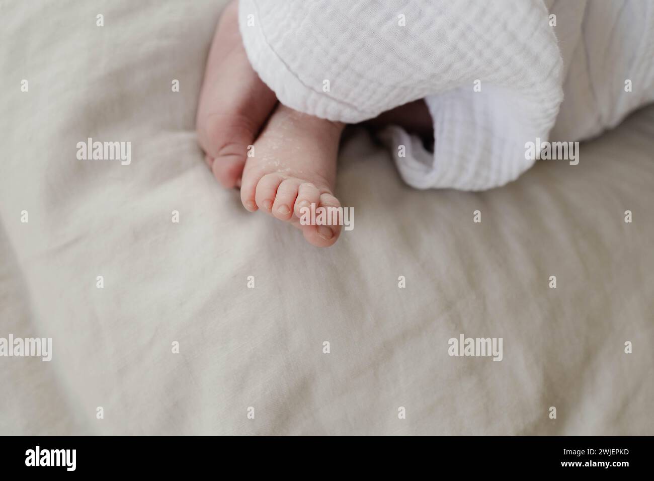 Newborn feet showing tiny toes Stock Photo - Alamy