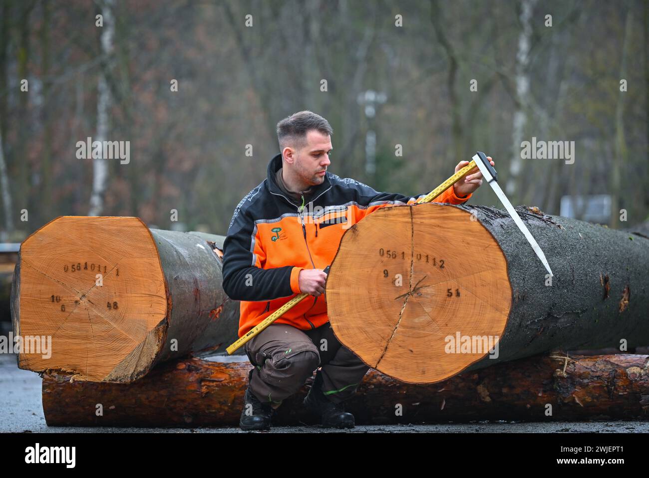 15 February 2024, Brandenburg, Müllrose: Kevin Lücke, functional engineer for timber marketing ...