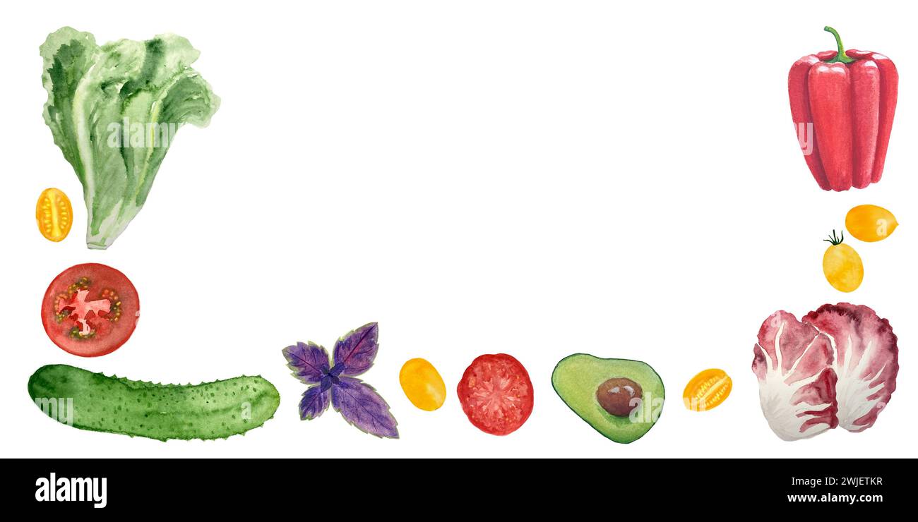 Watercolor hand drawn vegetable border isolated on white Stock Photo ...