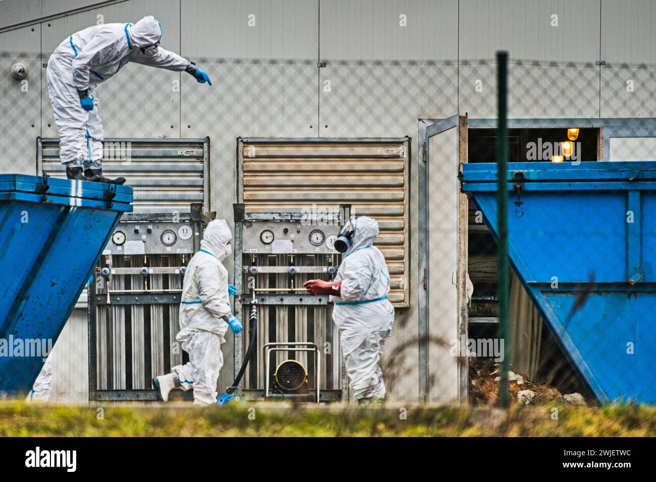 Vanec, Czech Republic. 15th Feb, 2024. The culling of 11,500 laying ...
