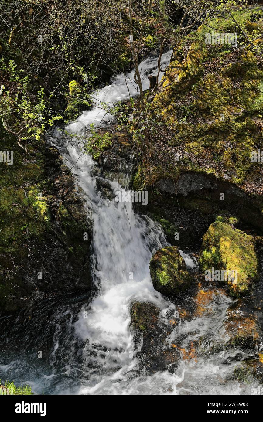 342+ High-rate flow of water from Vevcani springs running down from ...