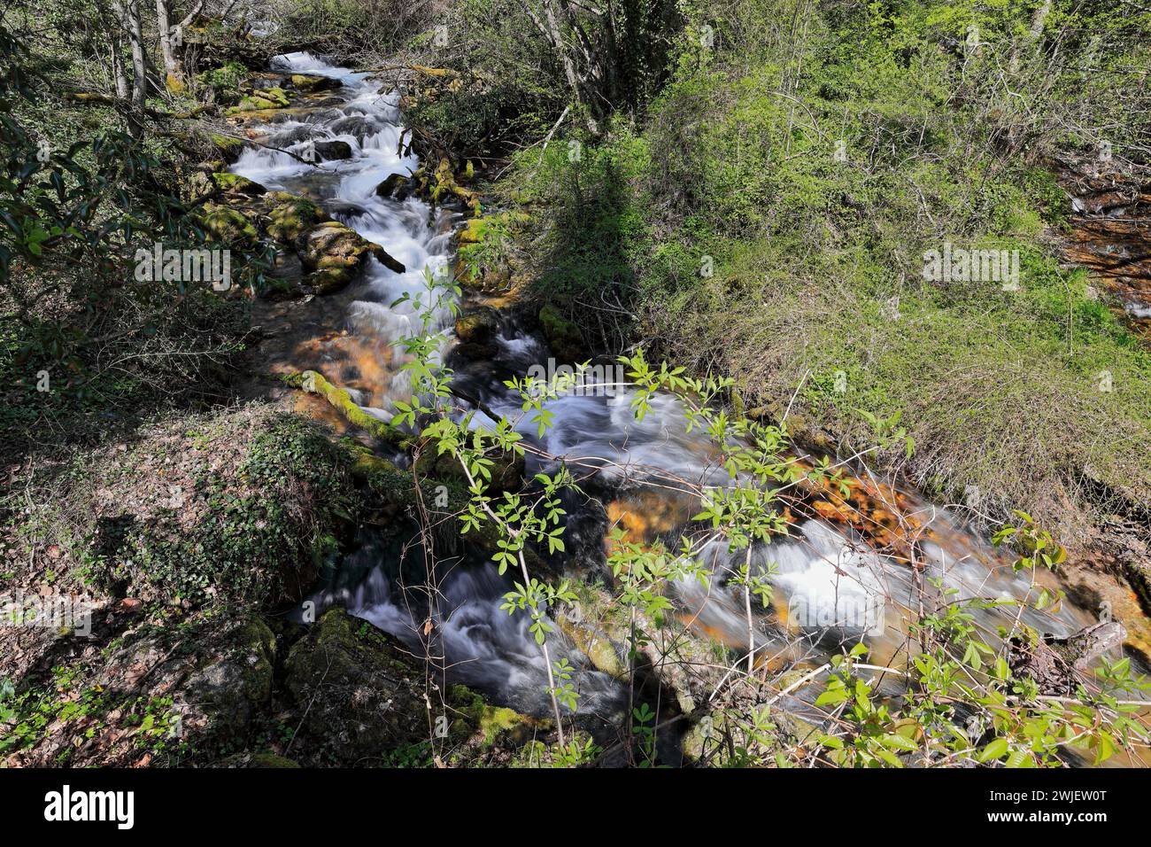 Mala livada spring hi-res stock photography and images - Alamy