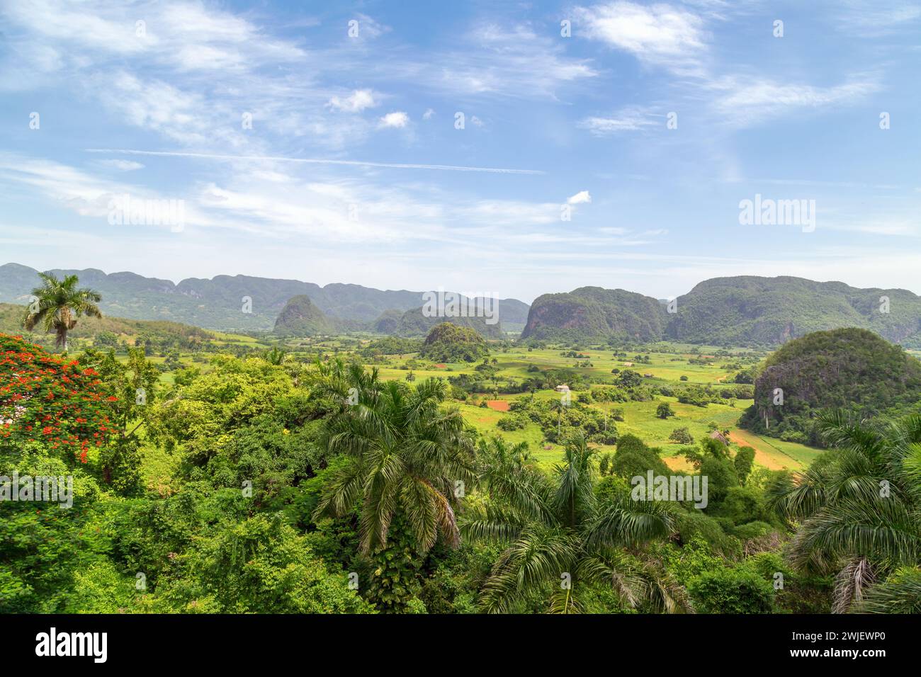 the green Viñales Valley in Cuba Stock Photo - Alamy