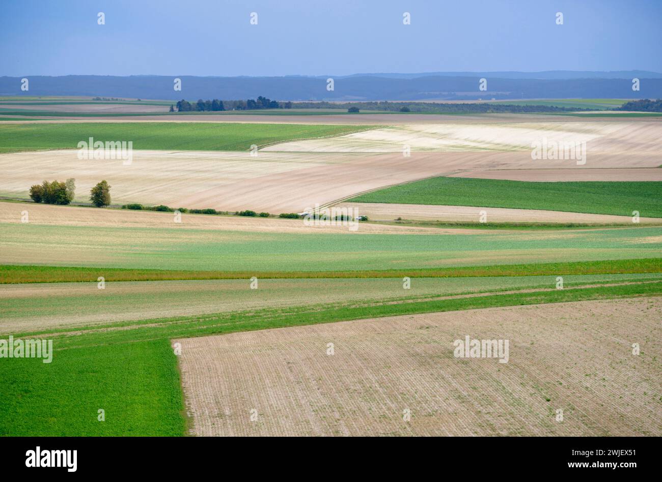 American memorial at blanc mont hi-res stock photography and images - Alamy