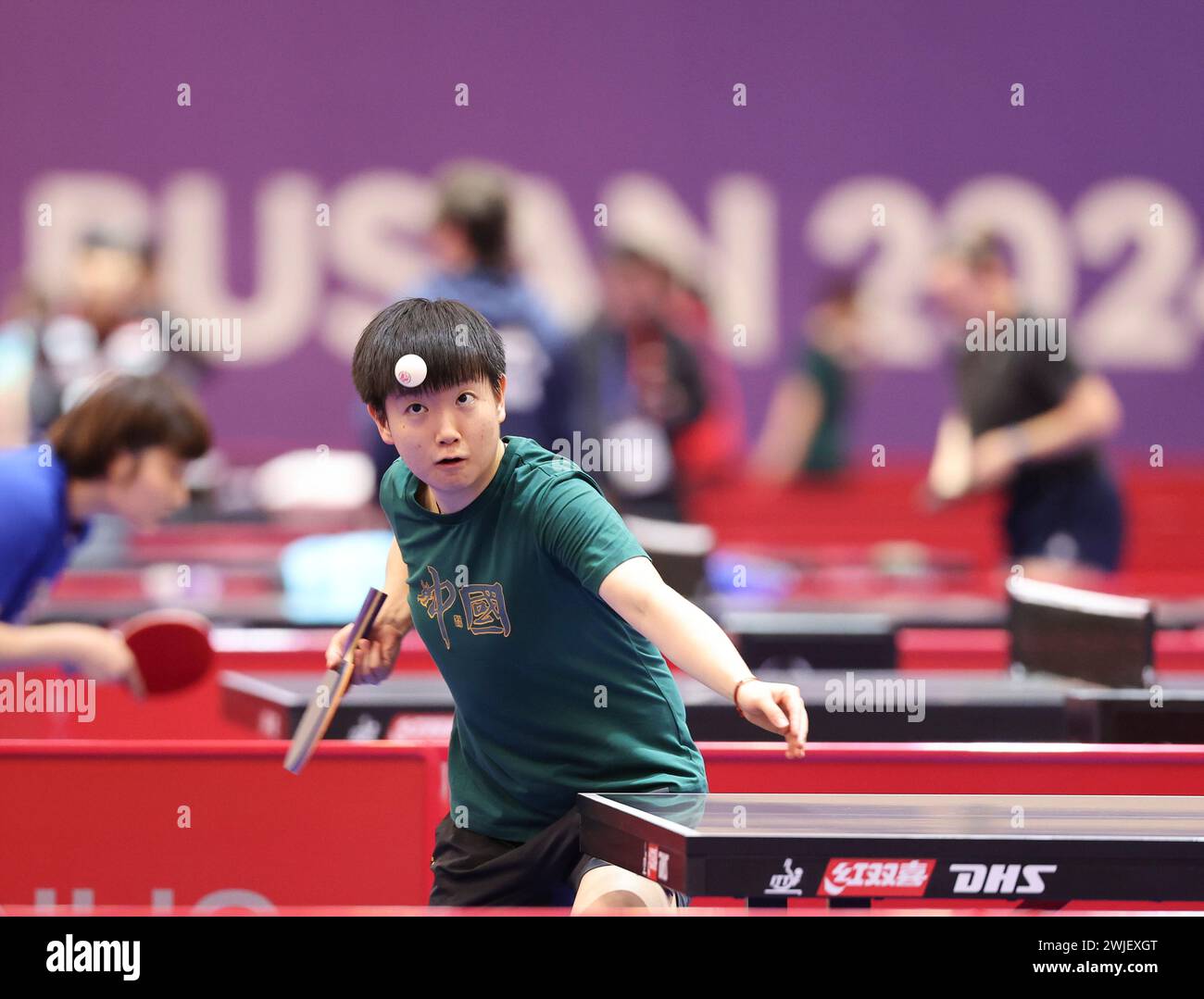 Busan, South Korea. 15th Feb, 2024. Team China's player Sun Yingsha attends a training session ...