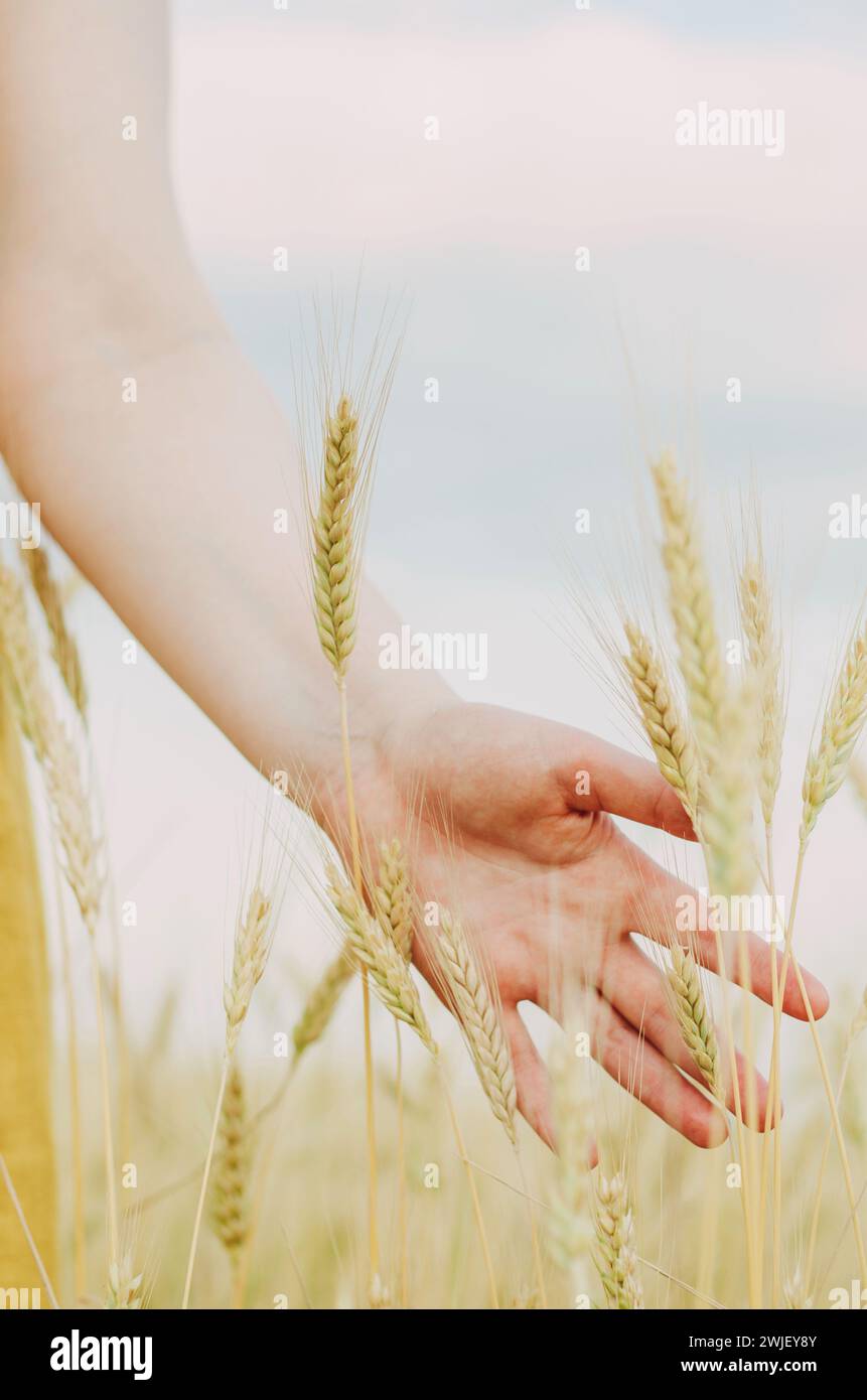 Woman touches plant hi-res stock photography and images - Alamy