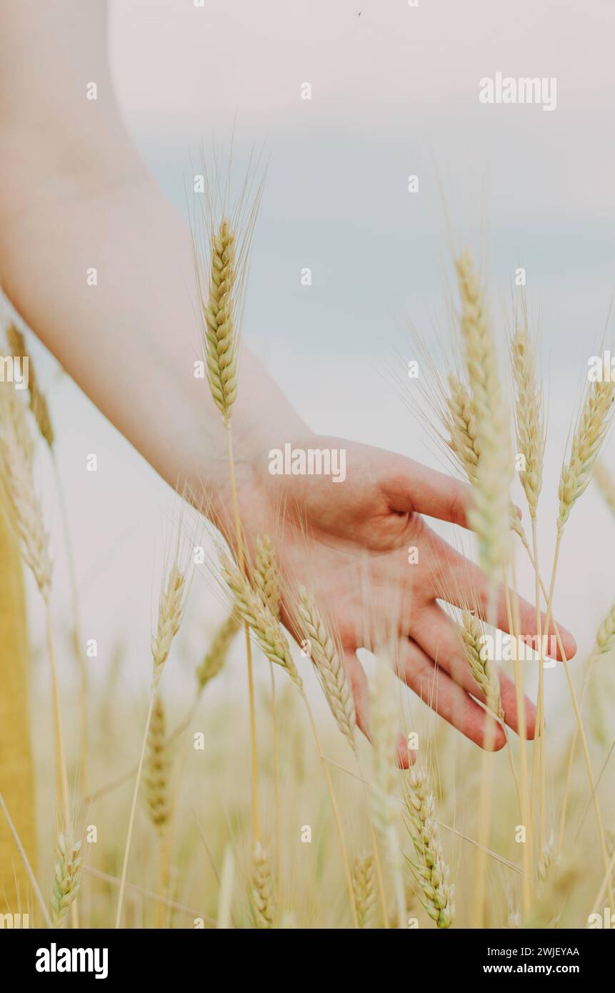 Woman hand gently touching hi-res stock photography and images - Alamy