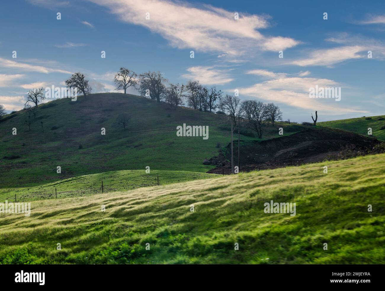 A green hill with a tree-covered summit and lush grassy terrain below ...