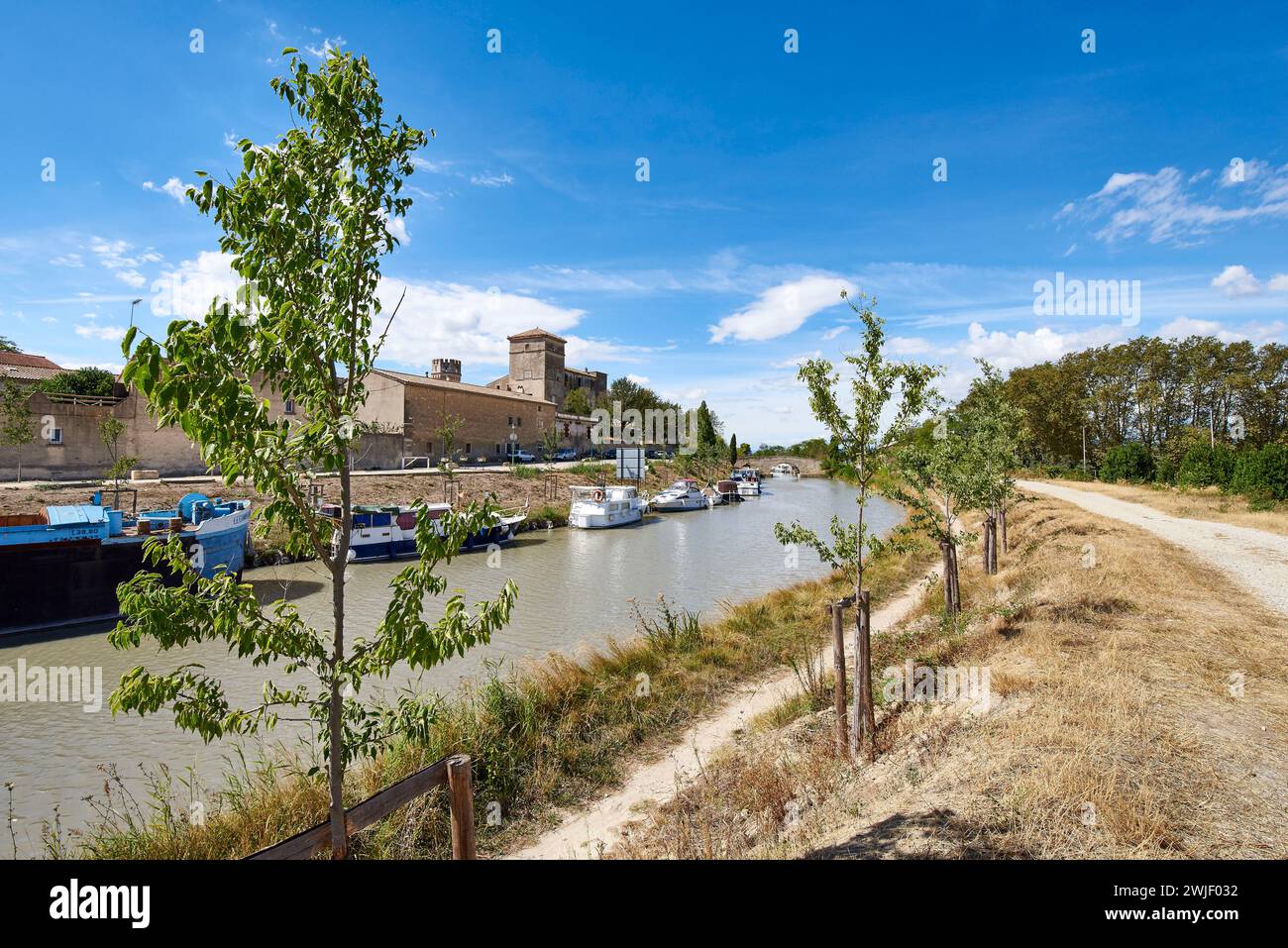 Planting trees along the Canal du Midi, here at the Colombiers river ...