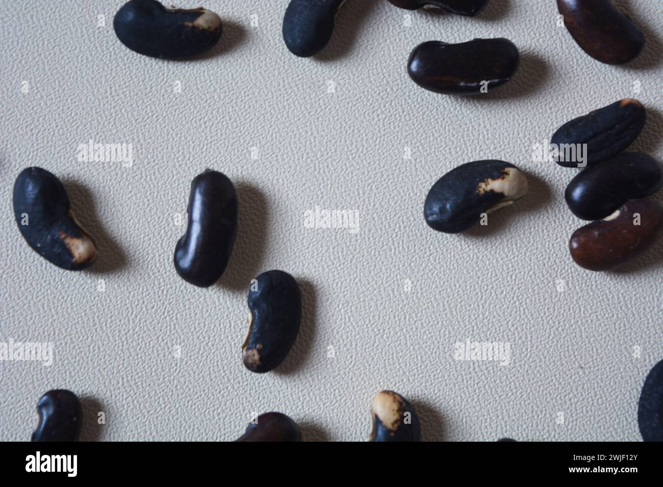 Black bean seeds on a white background Stock Photo - Alamy
