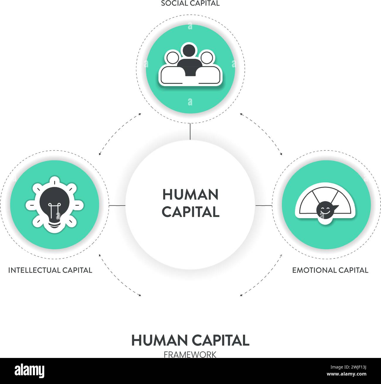 Human Capital, HC strategy framework infographics diagram chart ... Human Capital, HC strategy framework infographics diagram chart ...