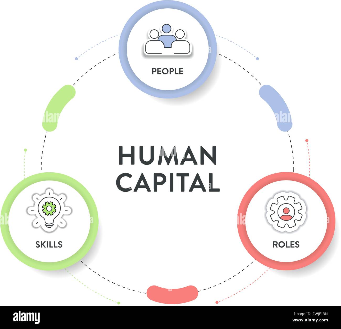 Human Capital or HC strategy framework infographic diagram chart ...