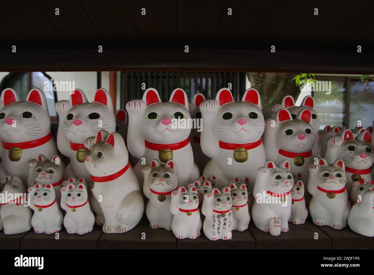 Manekineko Lucky Cats at Gotokuji Temple, Tokyo, Japan Stock Photo - Alamy