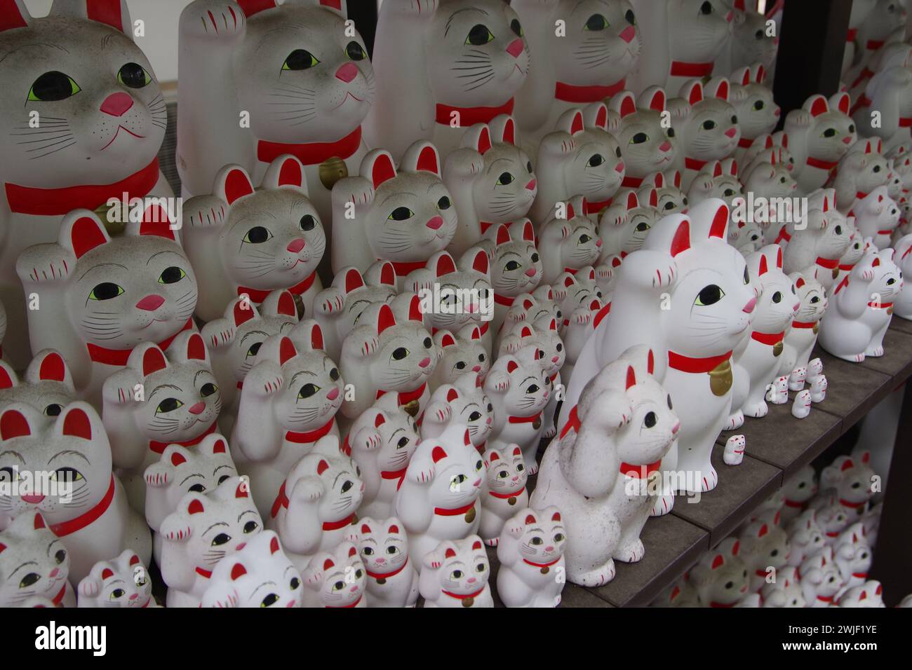 Many cats japan hi-res stock photography and images - Alamy