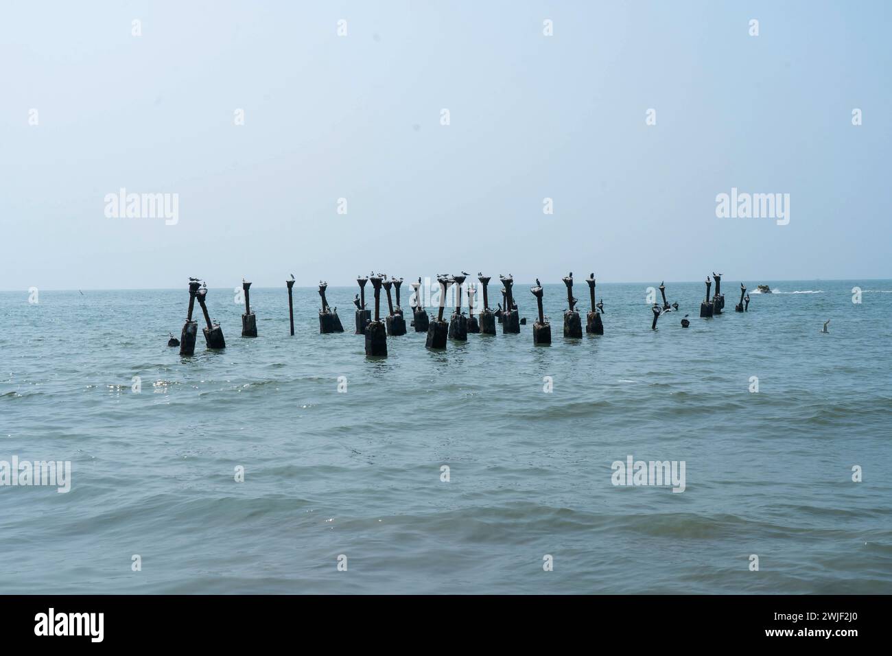Calicut beach hi-res stock photography and images - Alamy
