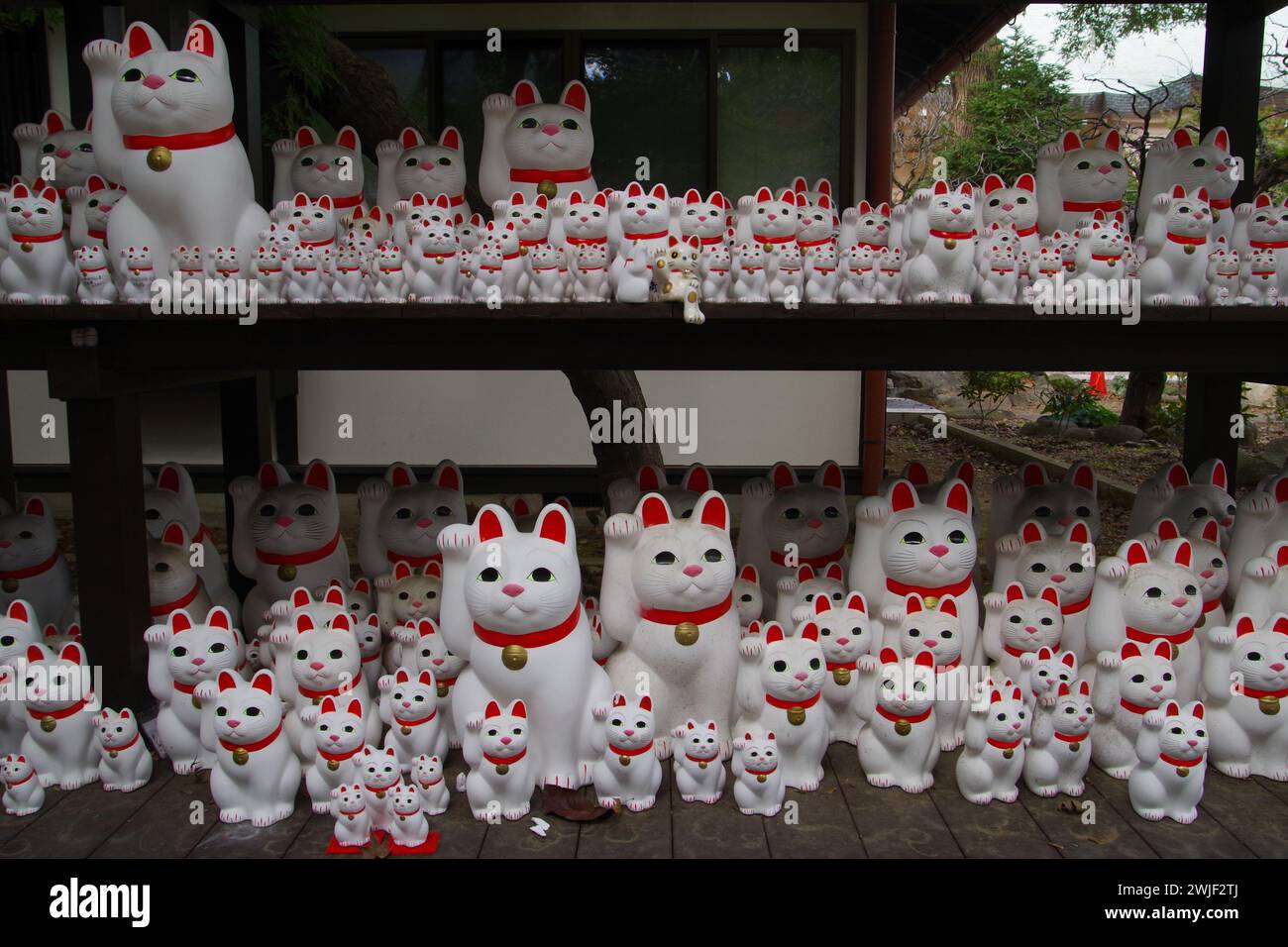 Manekineko Lucky Cats at Gotokuji Temple, Tokyo, Japan Stock Photo - Alamy