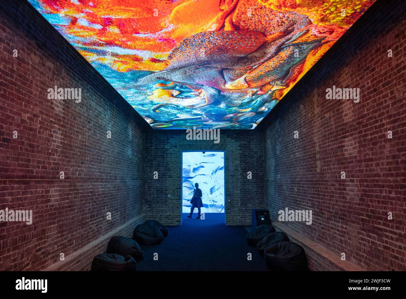 Serpentine North, London, UK. 15th Feb, 2024. Refik Anadol: Echoes of ...