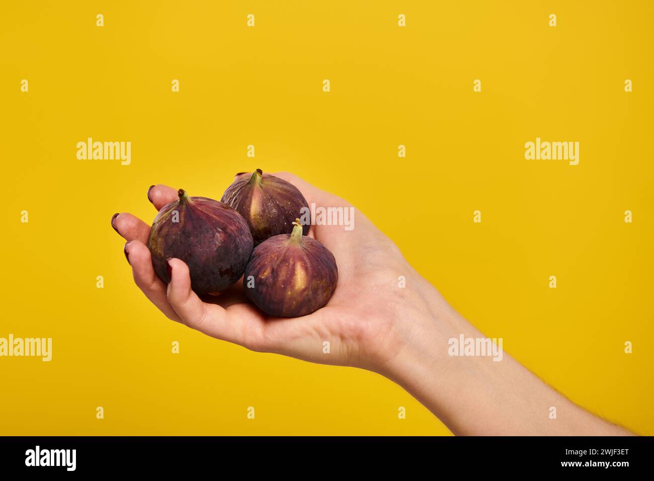 object photo of delicious organic figs in hand of young unknwon woman ...