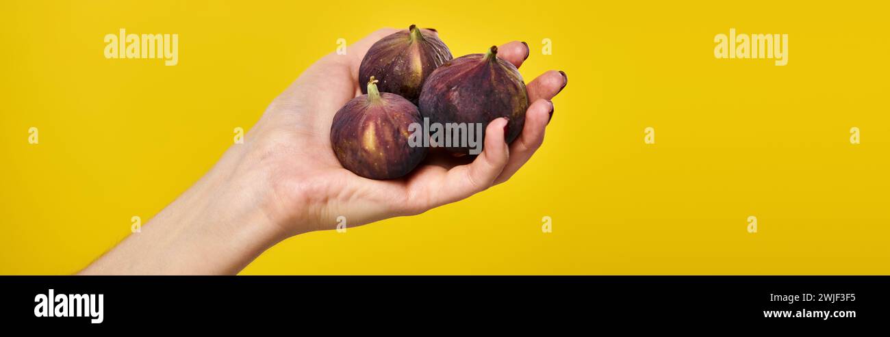 object photo of fresh organic figs in hand of young unknown woman on ...