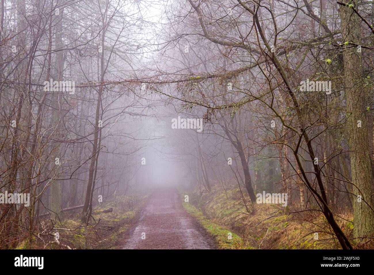 Misty light rain scotland hi-res stock photography and images - Alamy