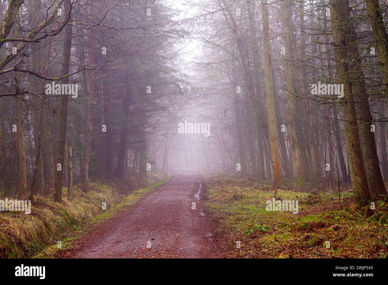 Mild feb 2024 uk hi-res stock photography and images - Alamy